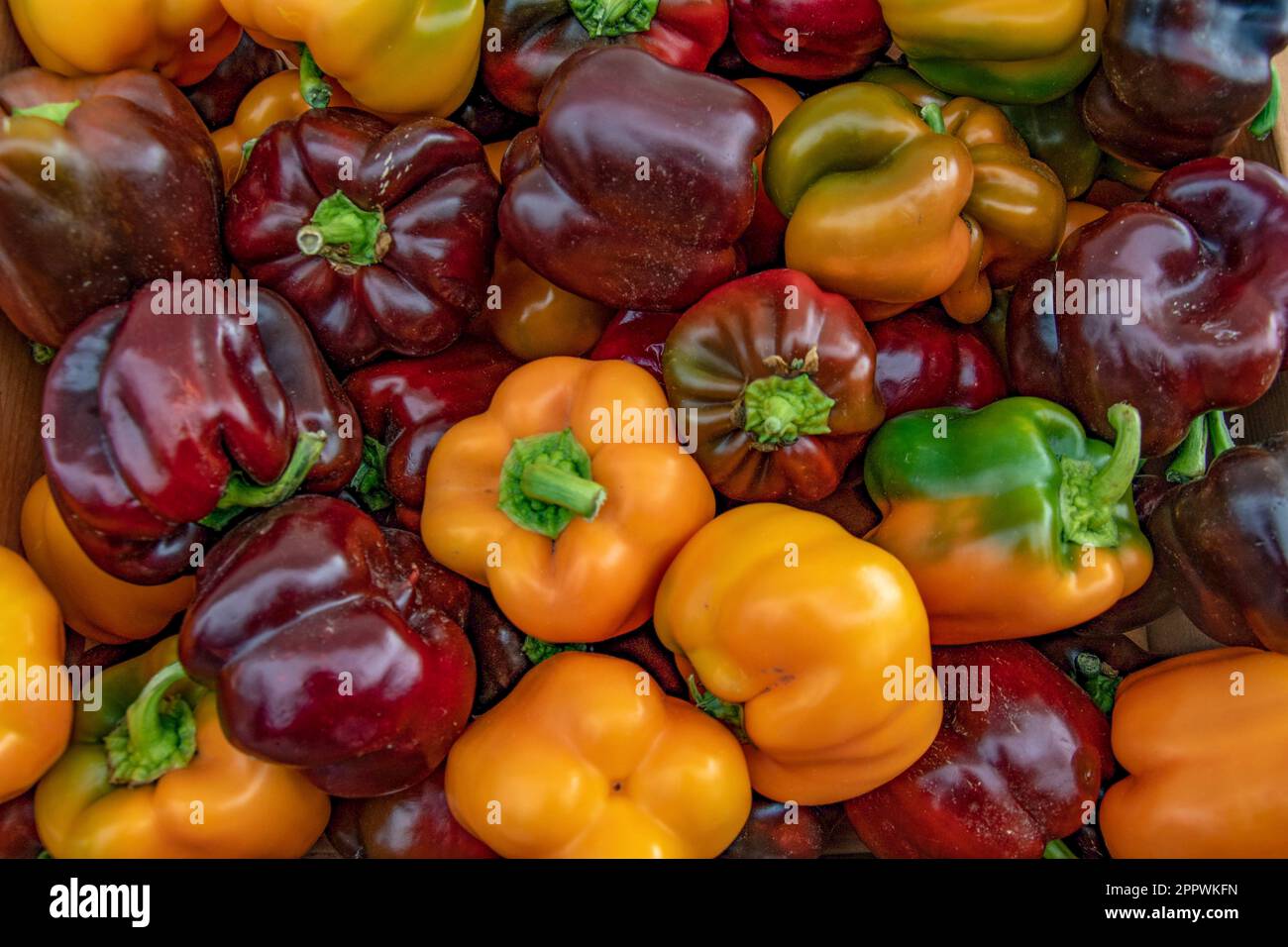 Bell pepper red yellow hi-res stock photography and images - Alamy
