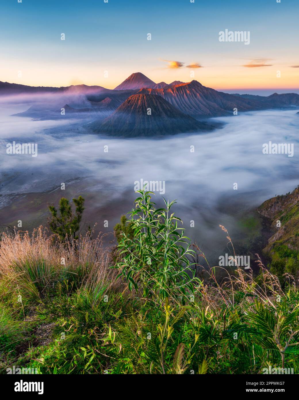 Mt Bromo at sunrise, Indonesia Stock Photo - Alamy