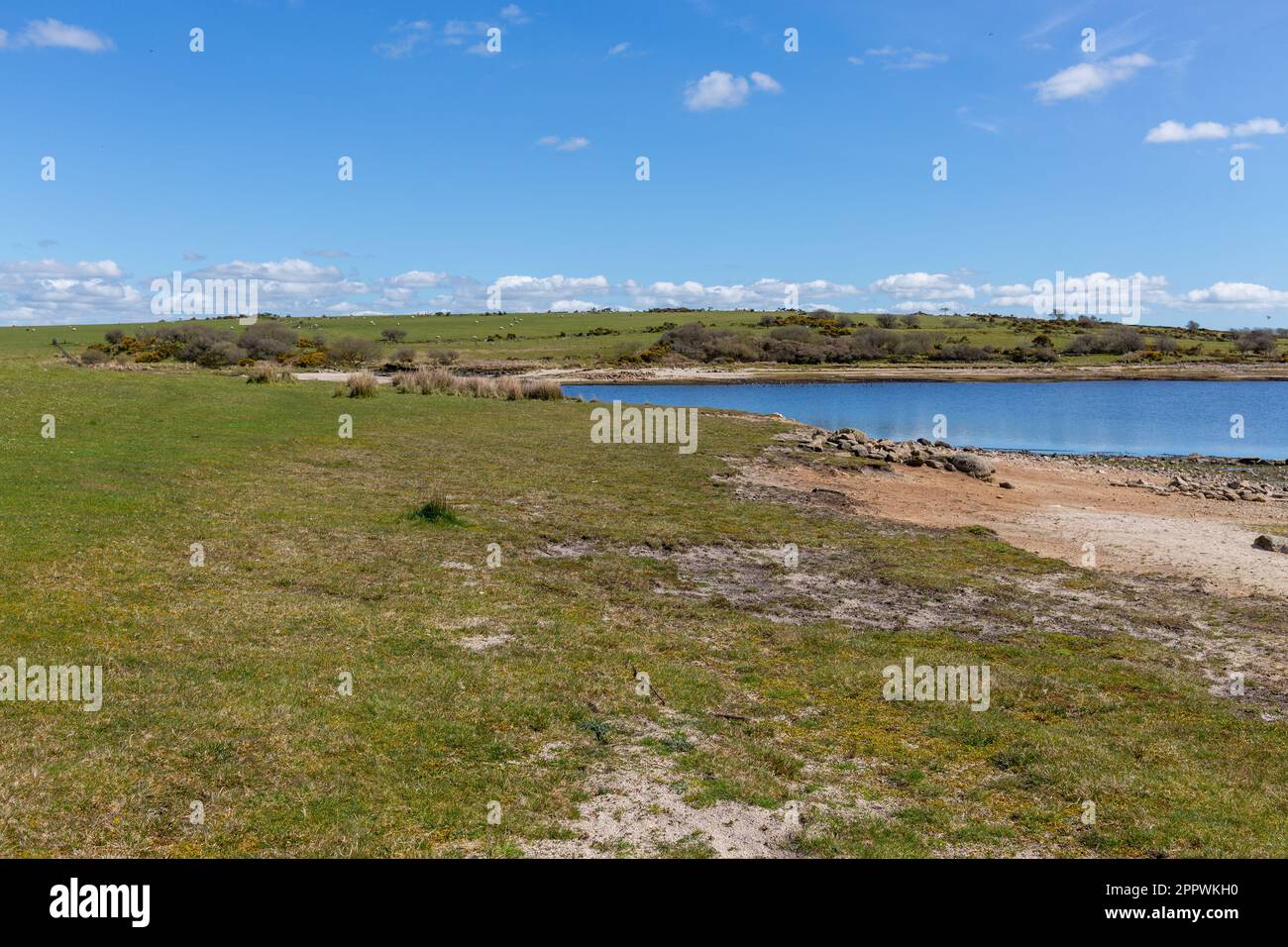 Colliford Lake and Dam, Bodmin Moor Cornwall Stock Photo - Alamy