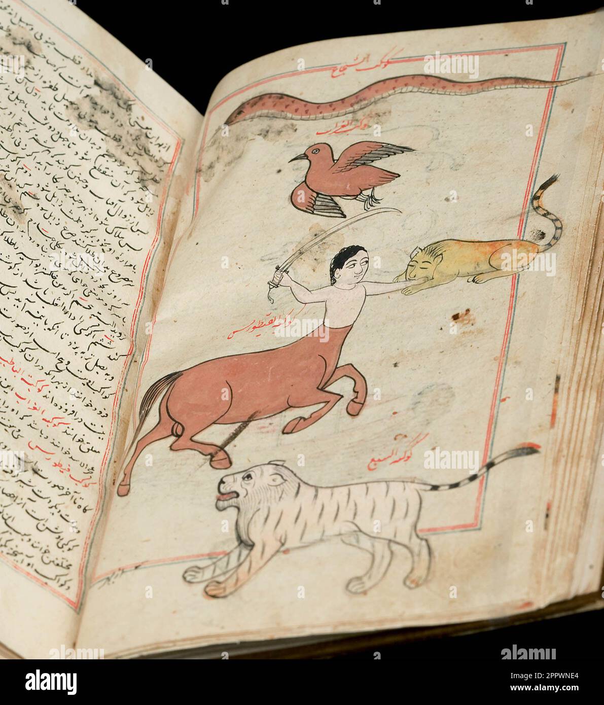 Flabbergast hi-res stock photography and images - Alamy