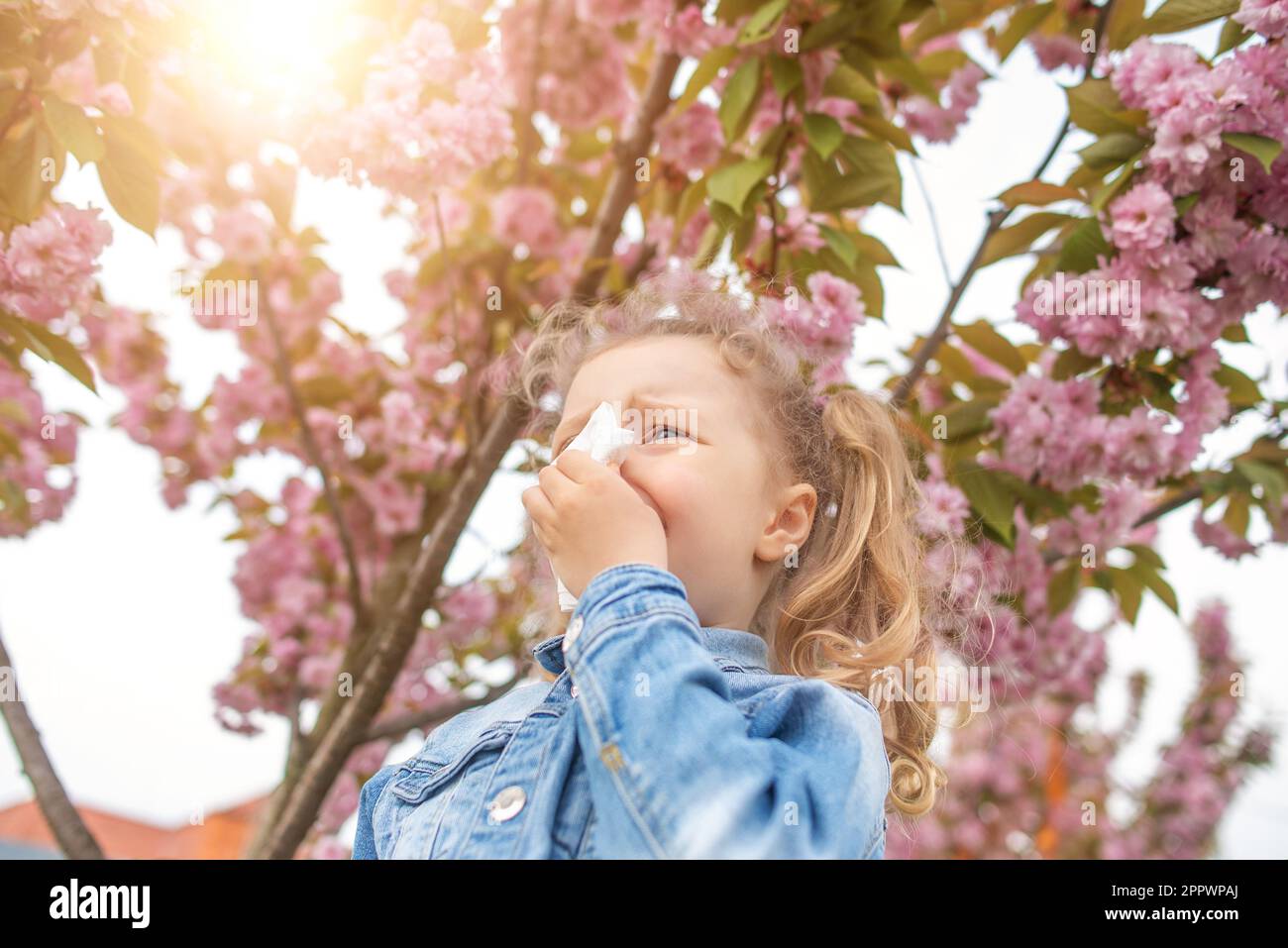 The child wipes his nose with a napkin Stock Photo - Alamy