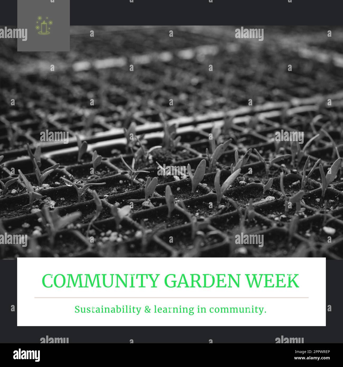 Composition of community garden week text over rows of seedlings Stock ...