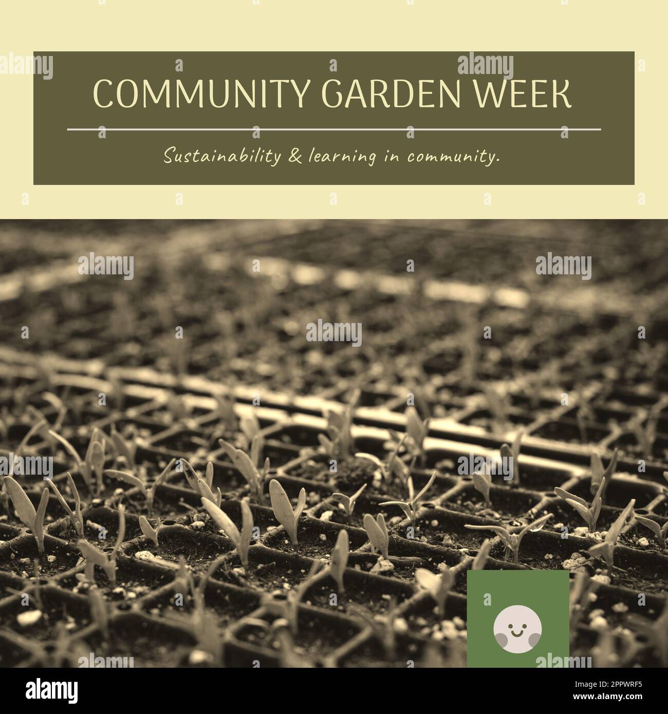 Composition of community garden week text over rows of seedlings Stock ...