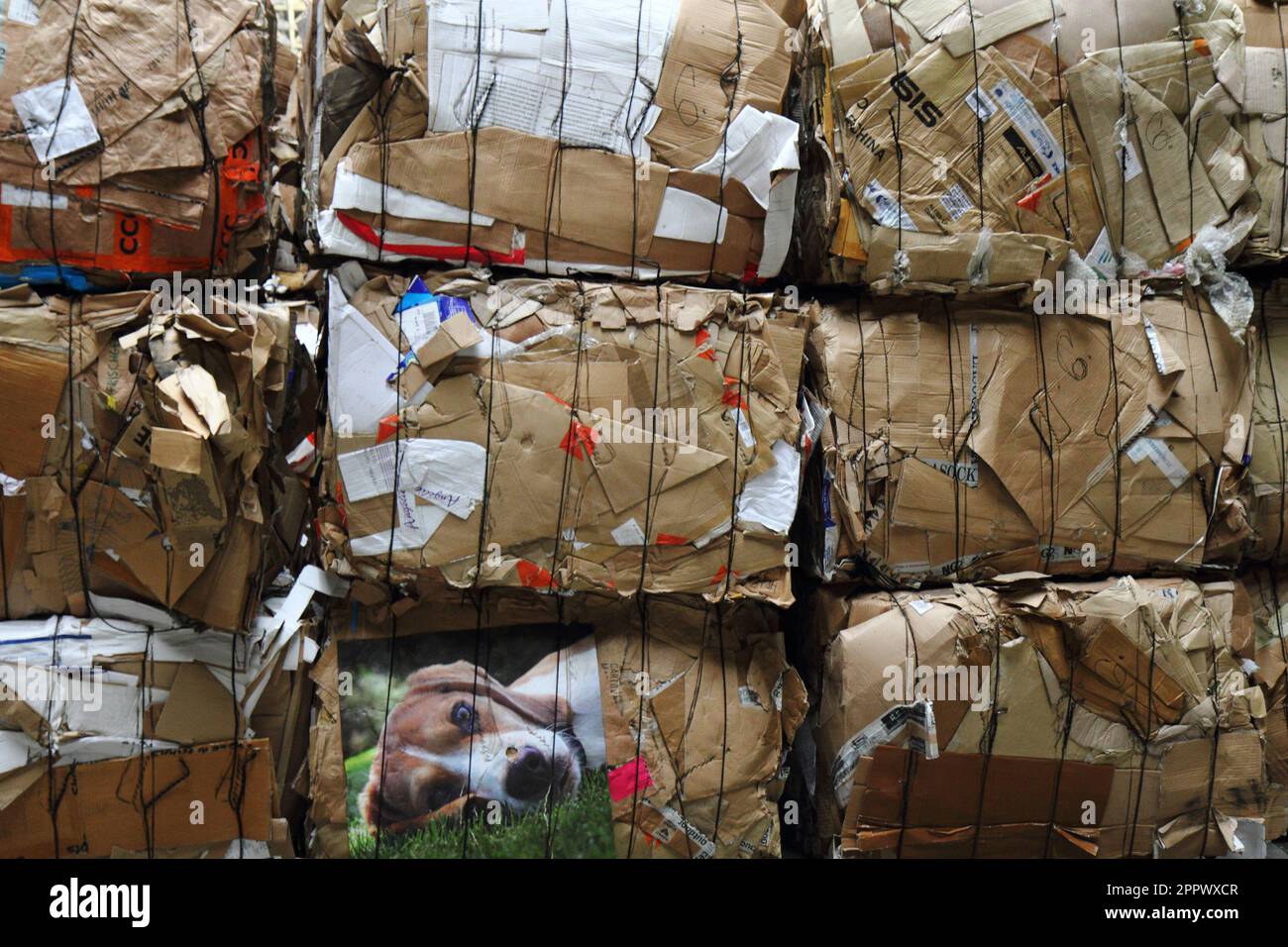 paper carton box garbage as nice recycle background Stock Photo - Alamy