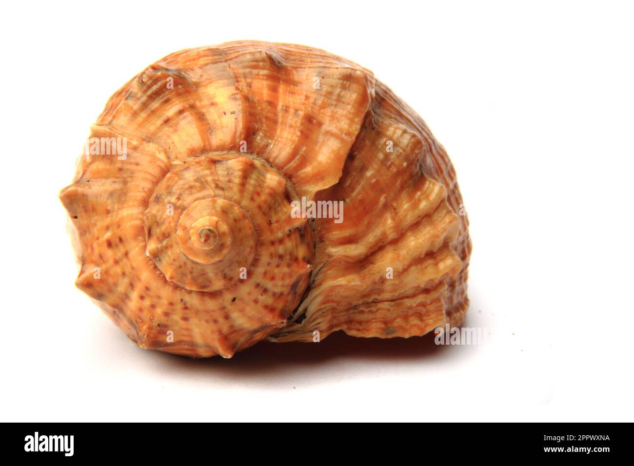 Summer background from sea Cut Out Stock Images & Pictures - Alamy