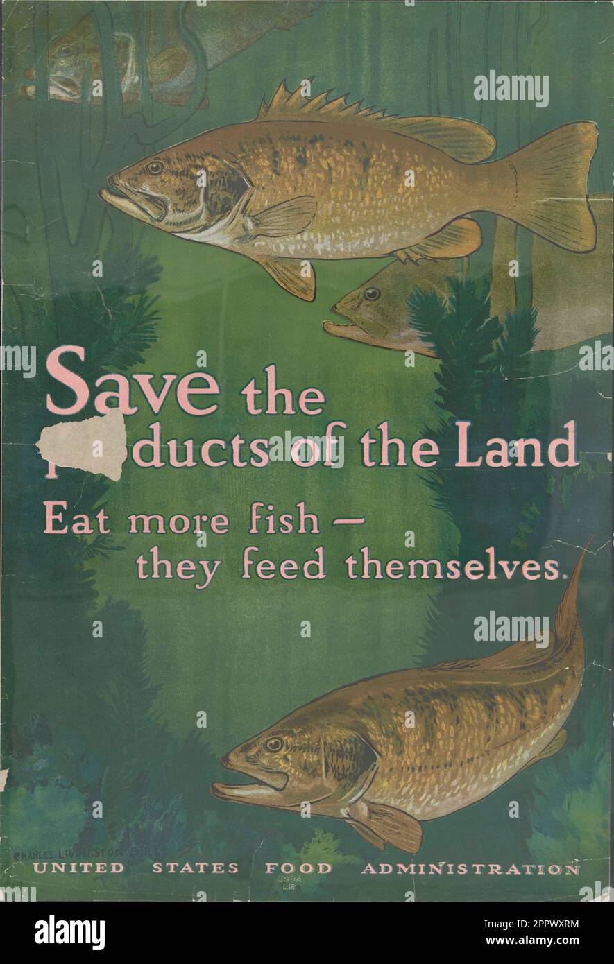 Food advert posters hi-res stock photography and images - Alamy