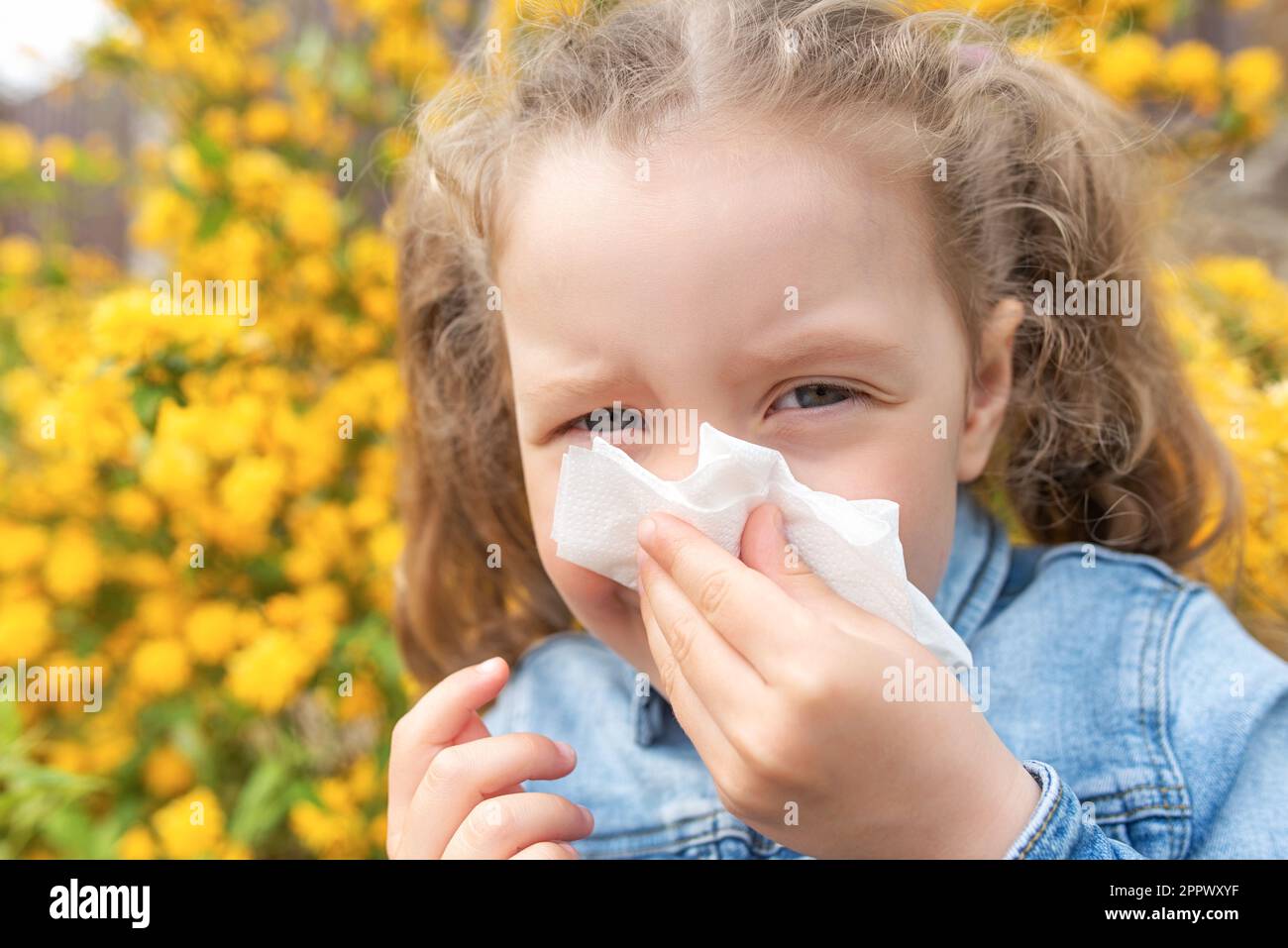 Sore flower plants hi-res stock photography and images - Alamy