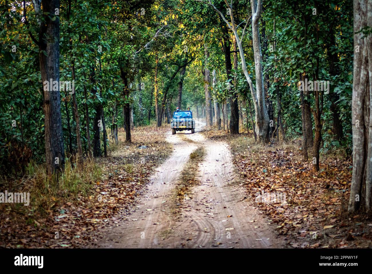 Tourist Jeep Bandhavgarh National Park Madhya Pradesh India Indian