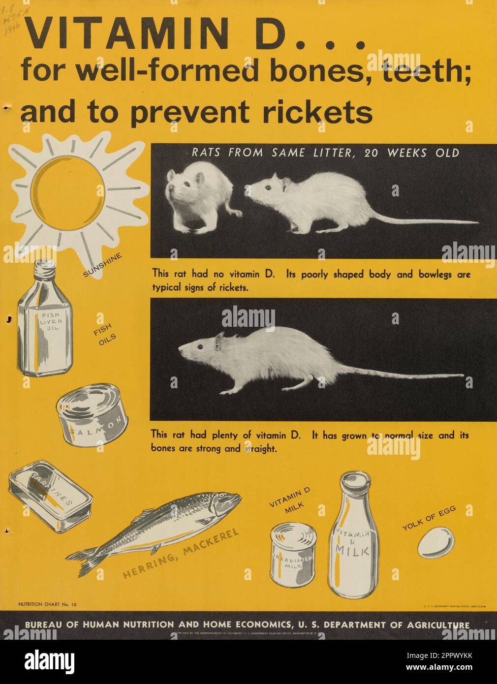 Well formed hi-res stock photography and images - Alamy