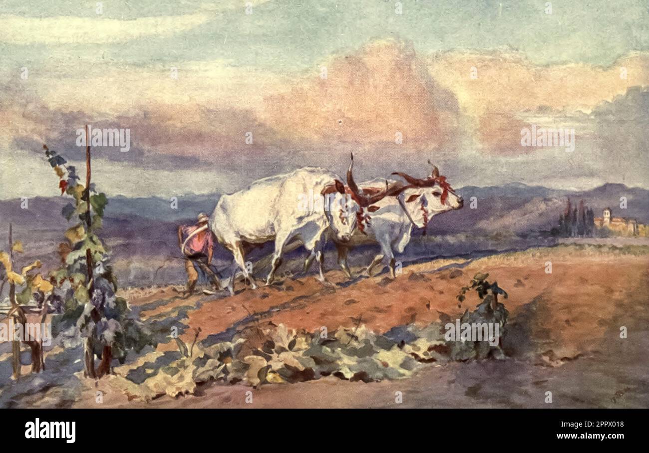 Ploughing in Tuscany from the book ' From sketch-book and diary ' by ...