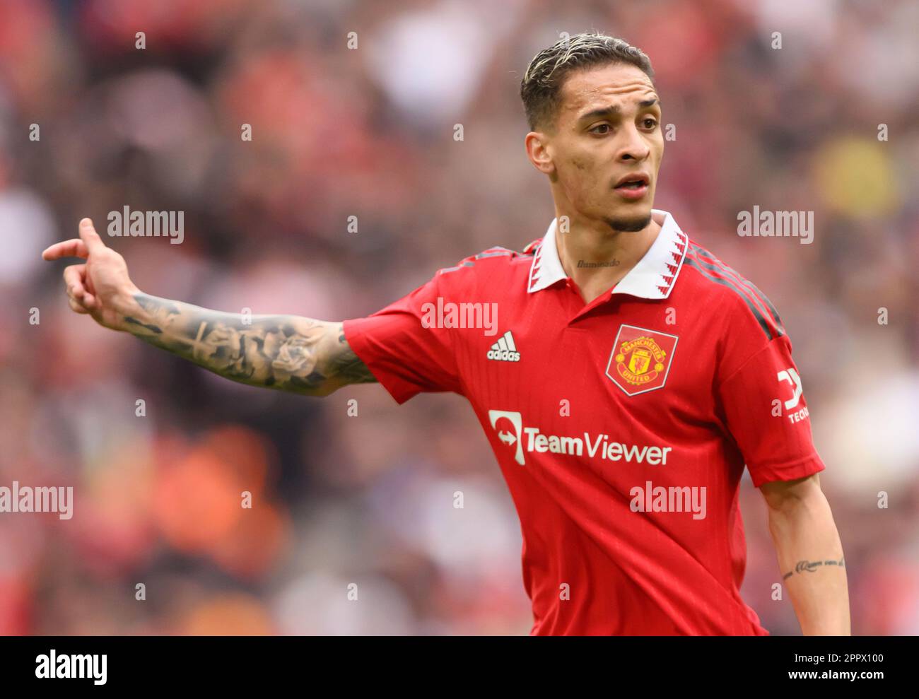 Brighton v manchester united hi-res stock photography and images - Alamy