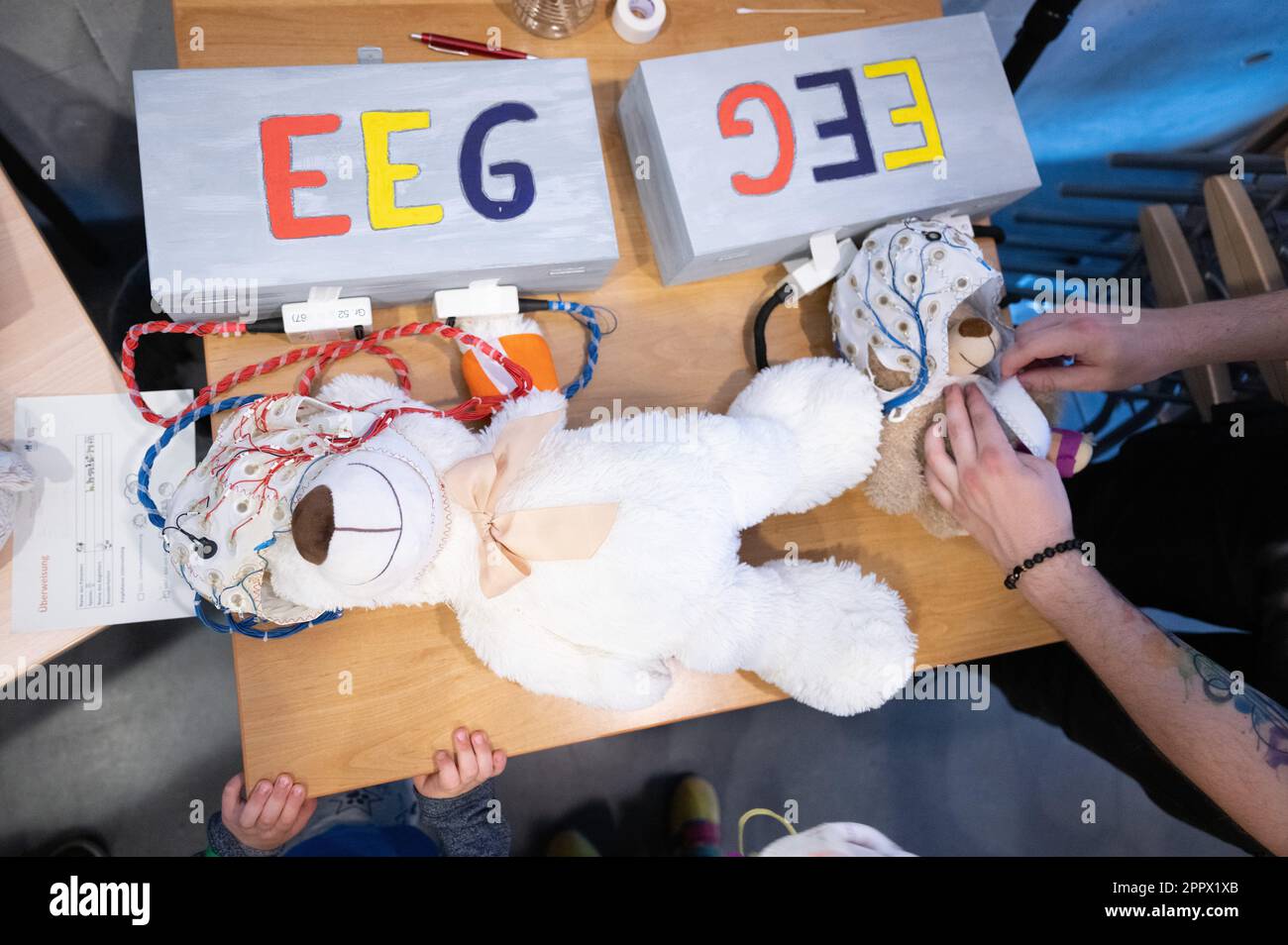 Dresden, Germany. 25th Apr, 2023. A stuffed animal wears an EEG cap for ...