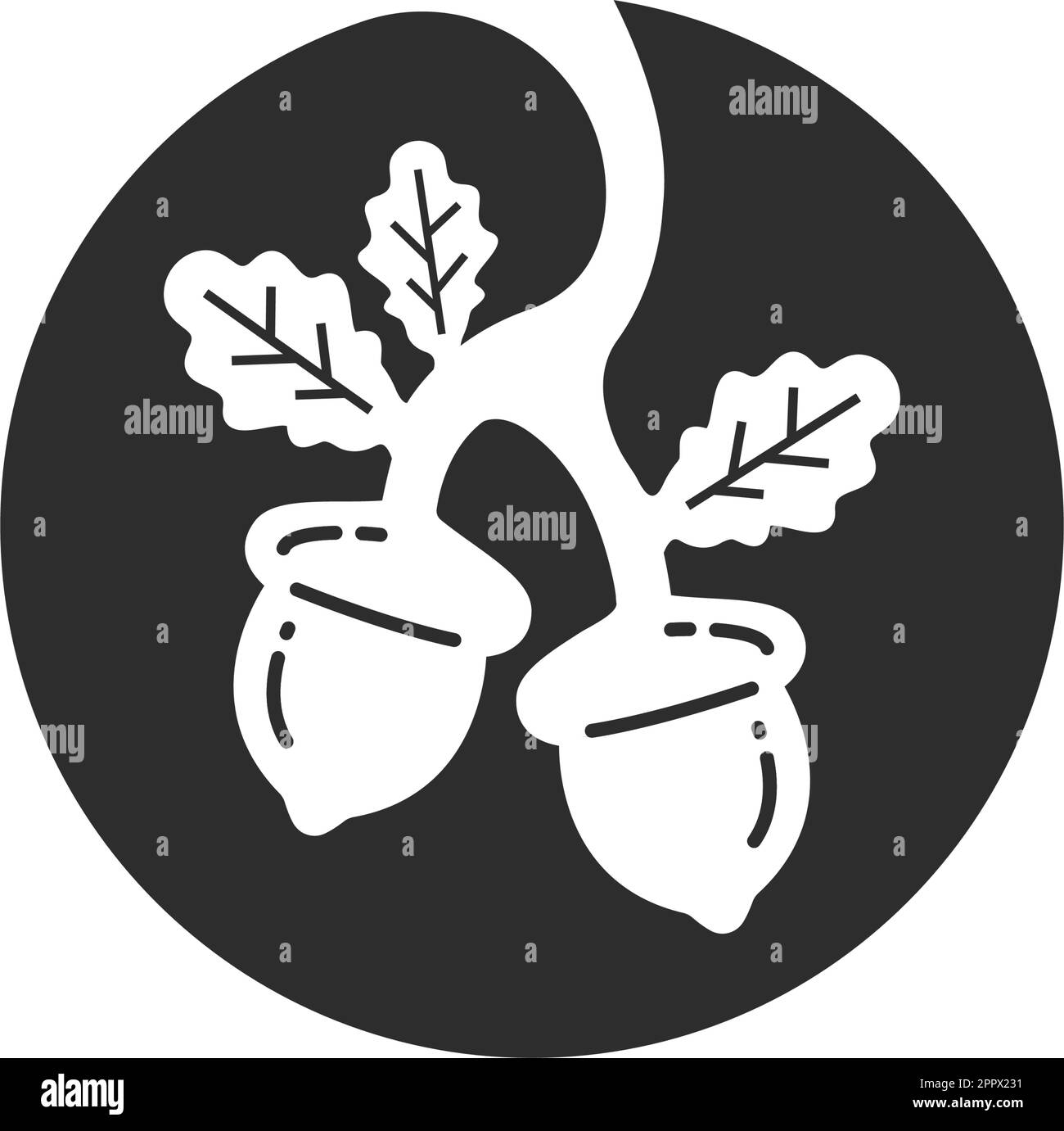 oak acorn vector illustration design Stock Vector Image & Art - Alamy