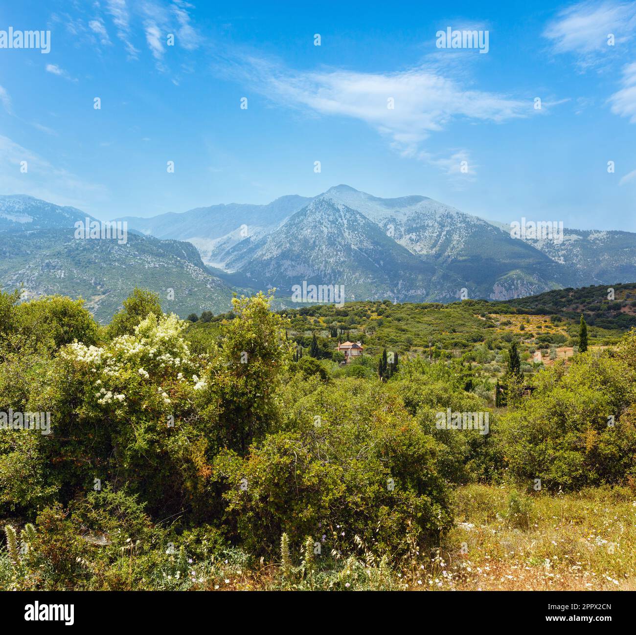 Mountain parnassus hi-res stock photography and images - Alamy