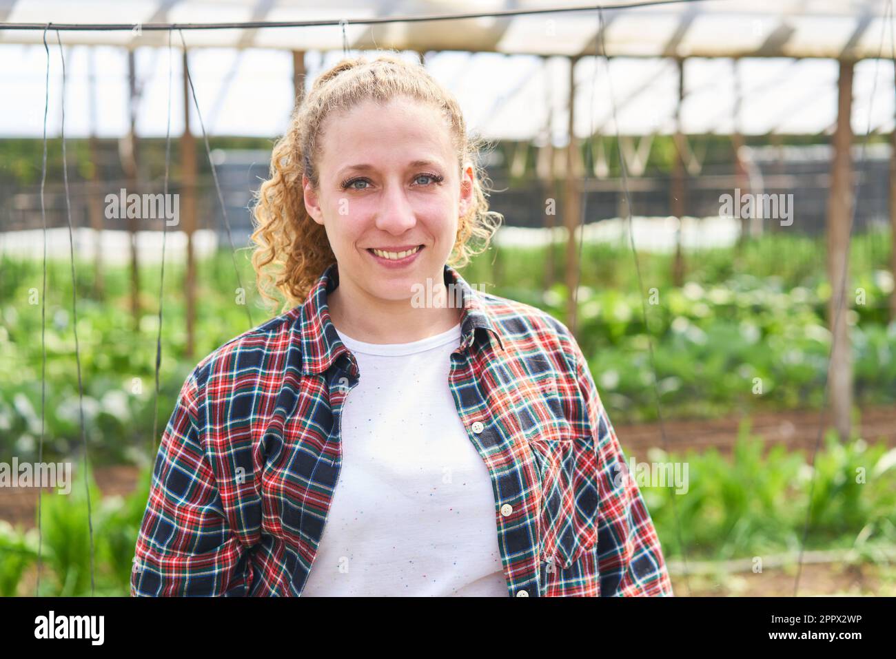 Person wearing plaid shirt hi-res stock photography and images - Alamy