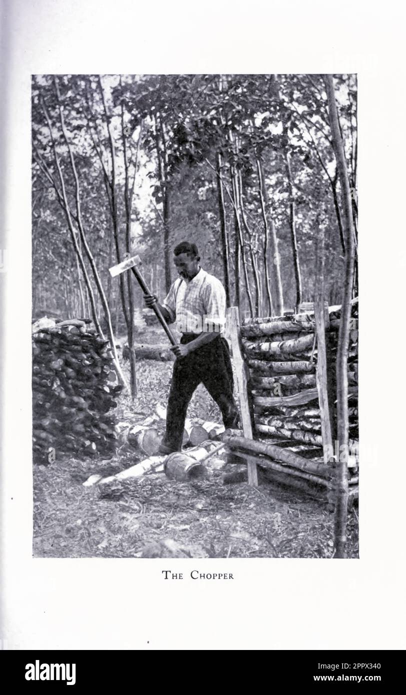 The Chopper chopping wood from the book ' Along French byways ' by ...