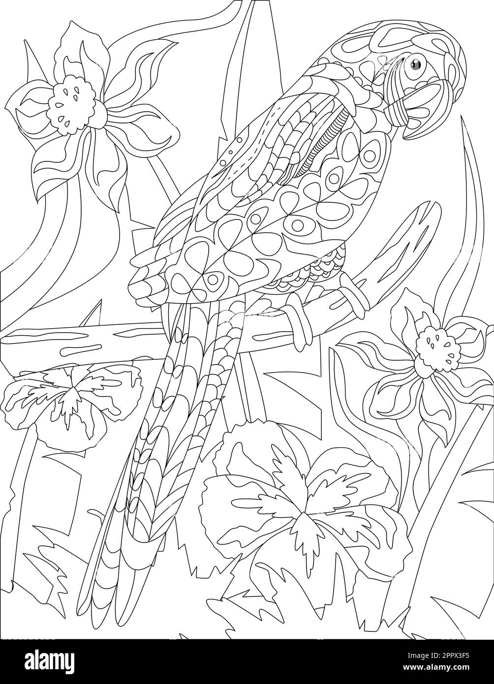 Asymmetrical unequal shaped form format of colourful thing object ...