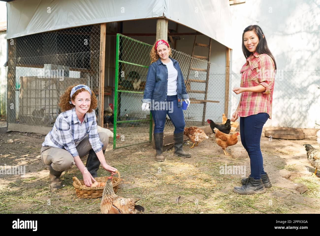 Portrait of smiling multicultural female farming coworkers working ...