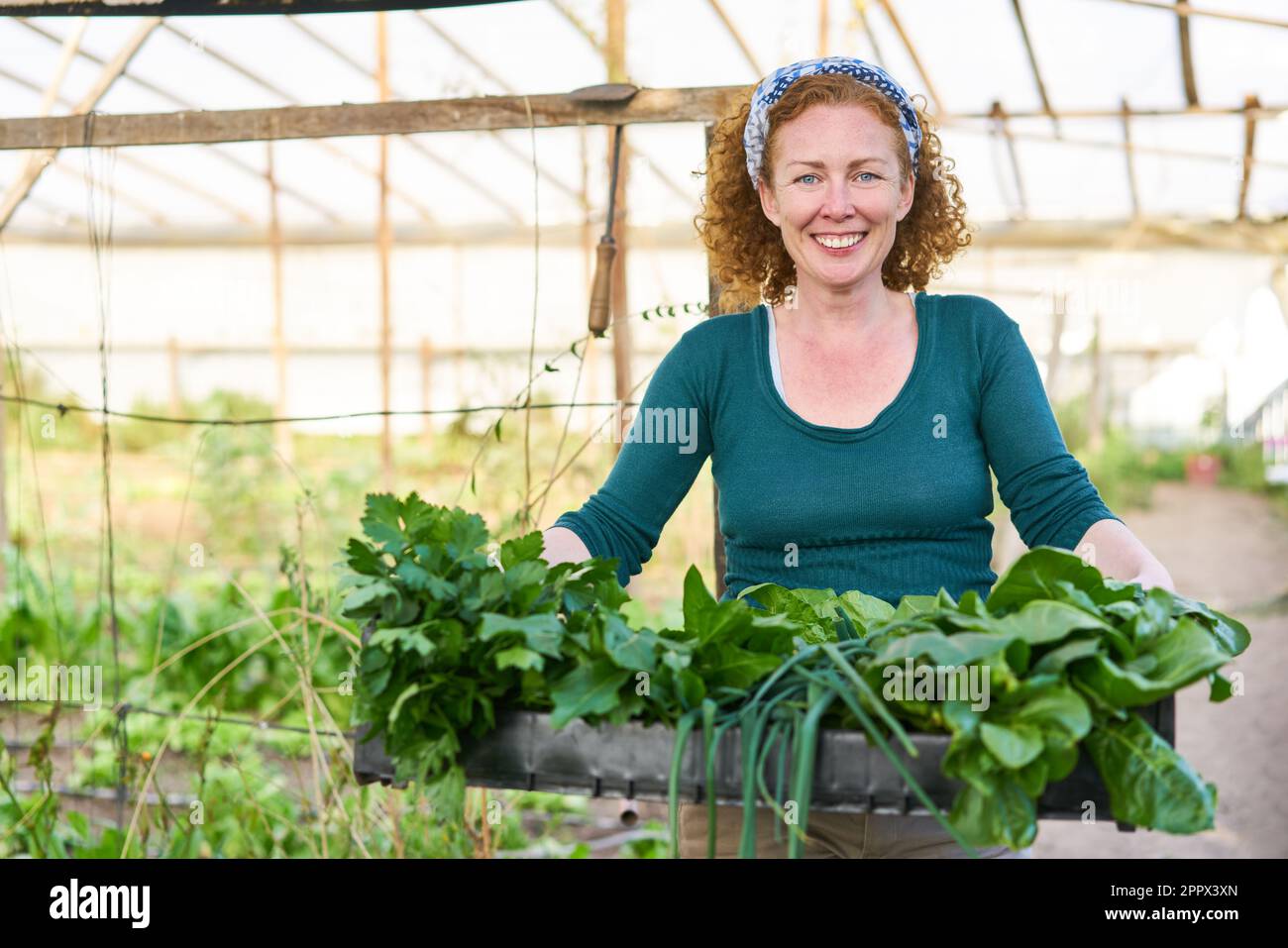 Portrait of smiling mature female farmer holding fresh vegetables in ...