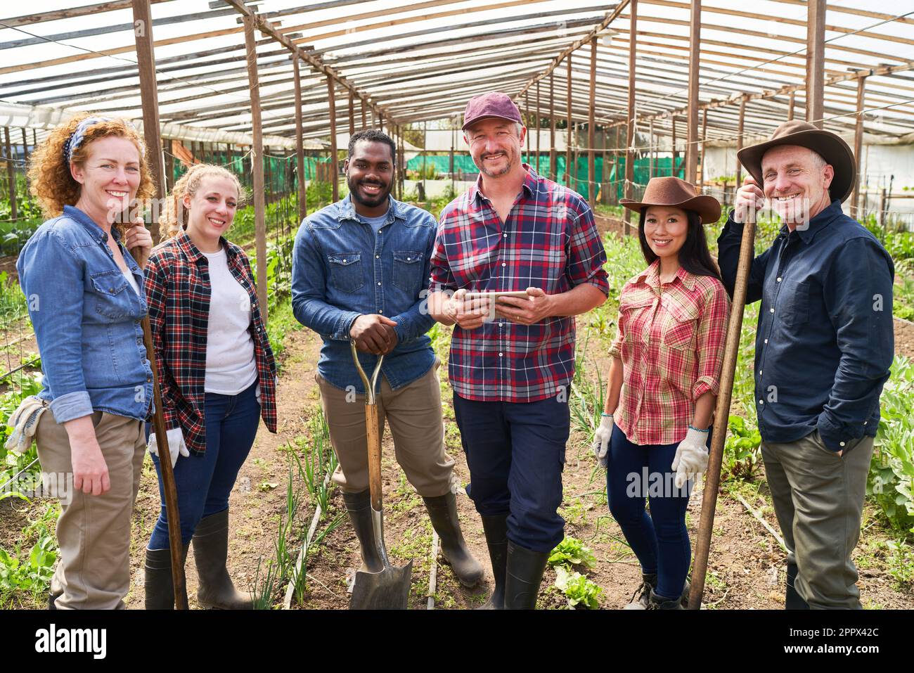 Group of happy farmers in greenhouse as farming collective Stock Photo ...