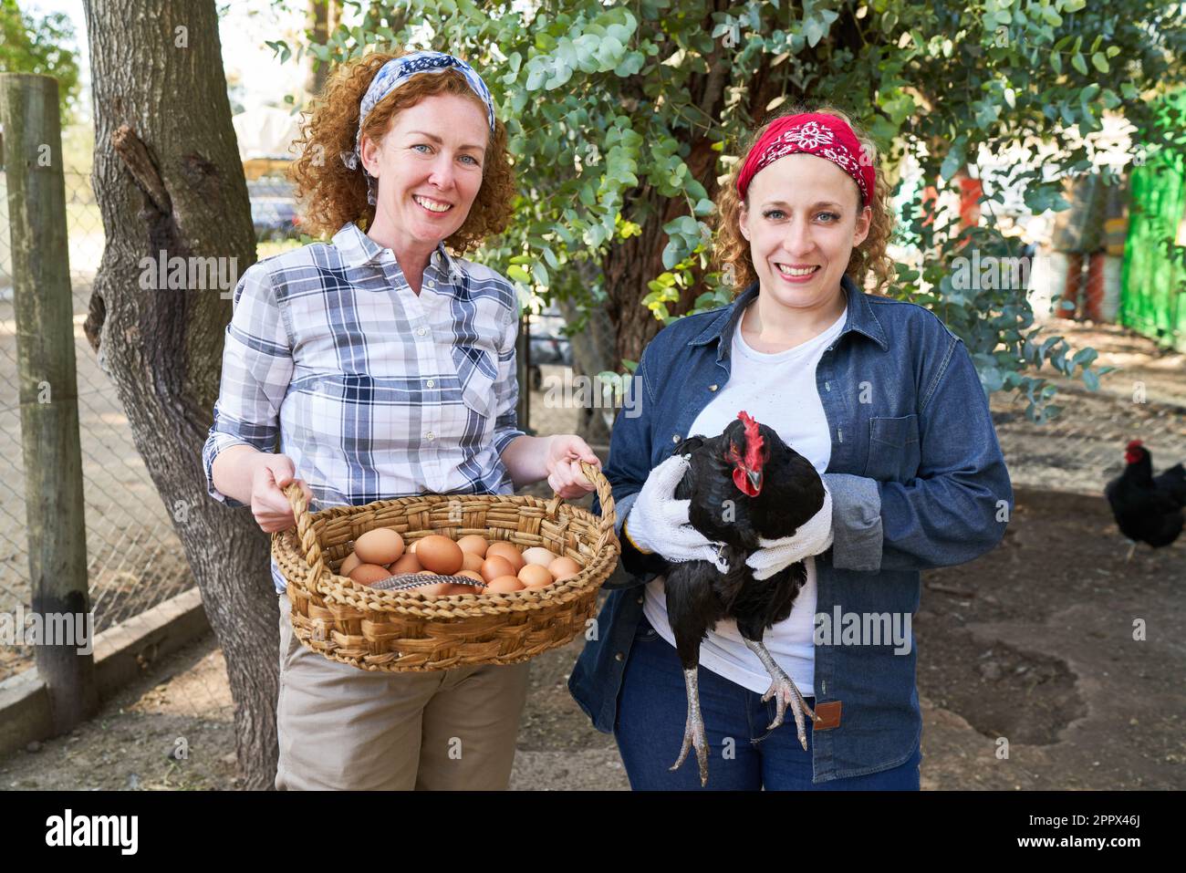 Portrait of smiling female farming coworkers holding black hen and ...