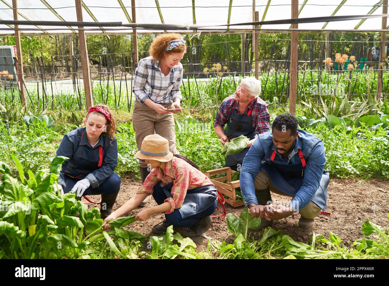 Teamwork multicultural hi-res stock photography and images - Alamy