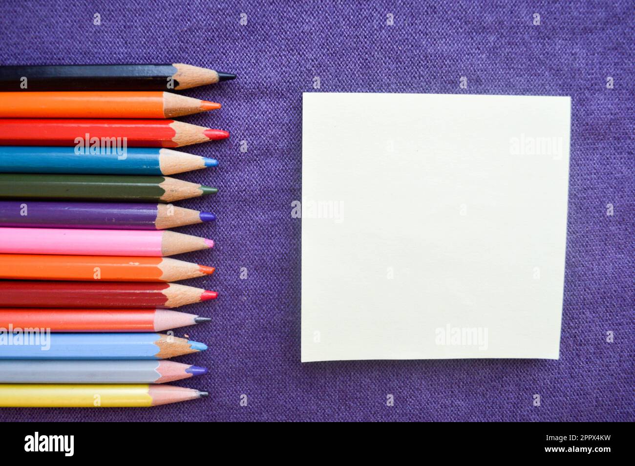 Multicolored, bright, colorful pencils for drawing located on the left ...
