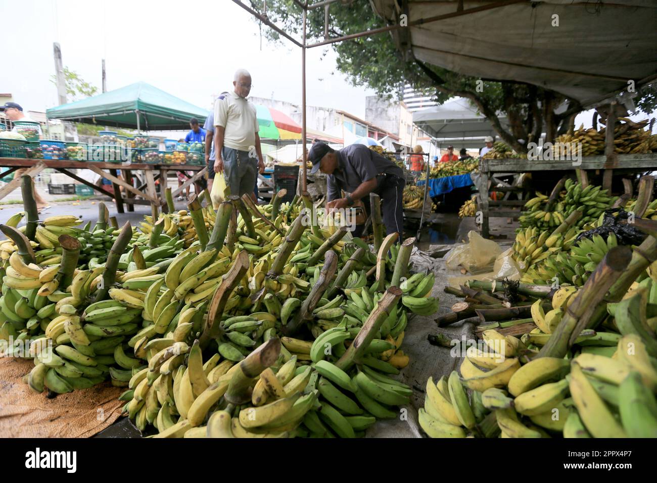 feira de santana, bahia, brazil - april 23, 2023: merchants and ...