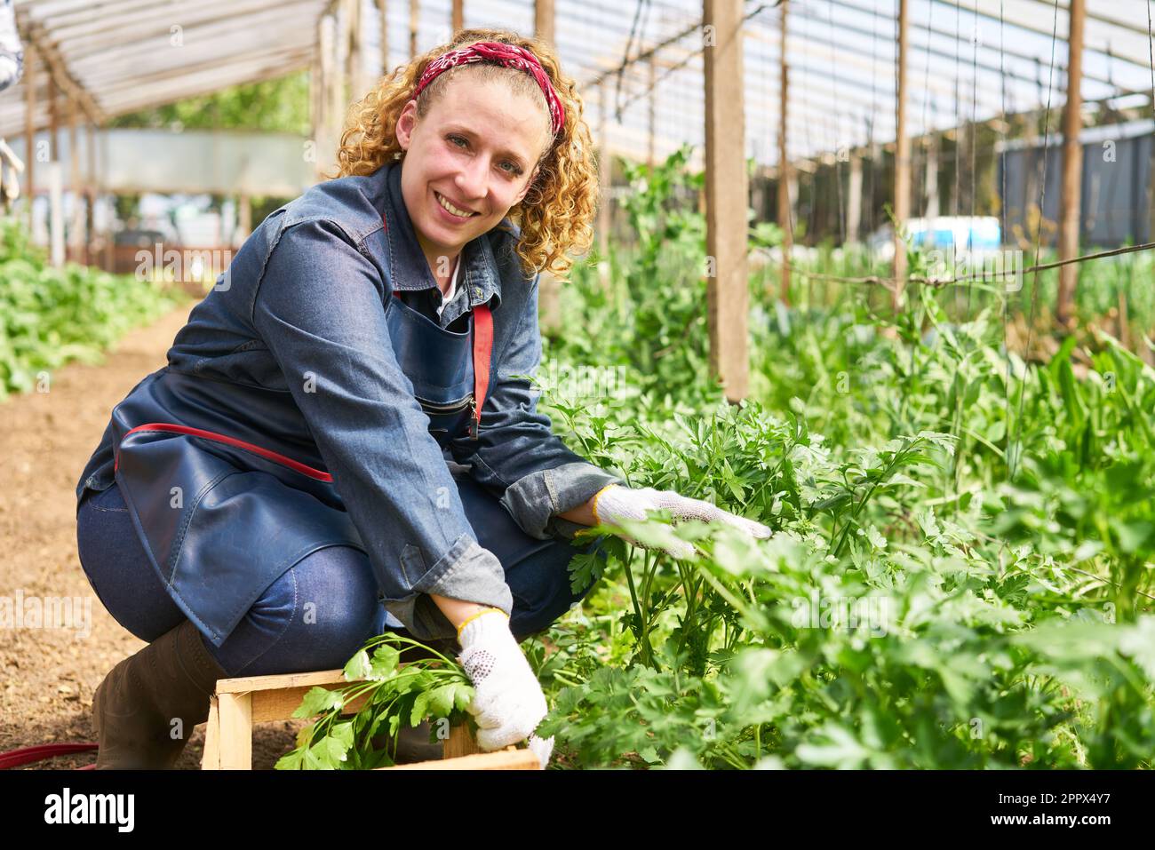 Portrait happy female gardener farmer hi-res stock photography and images - Alamy