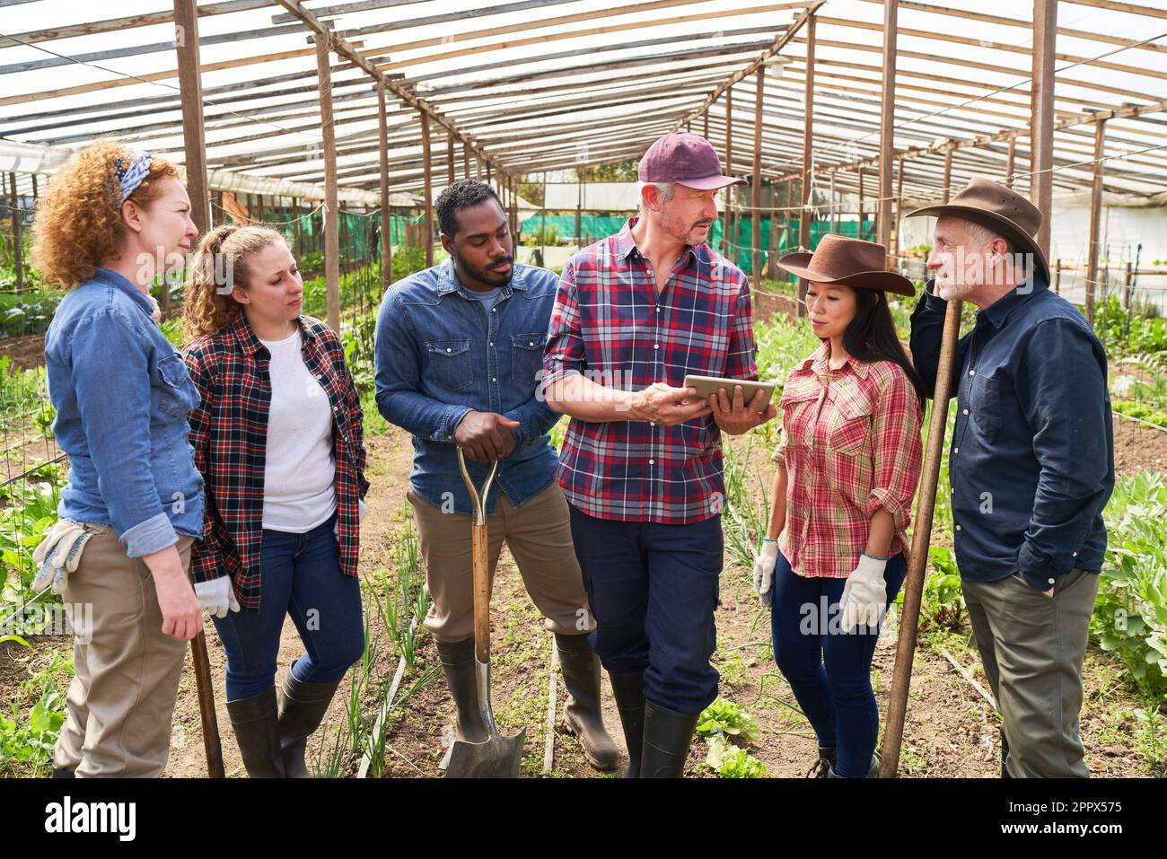 Mature male agronomist explaining multicultural farmers over tablet PC ...