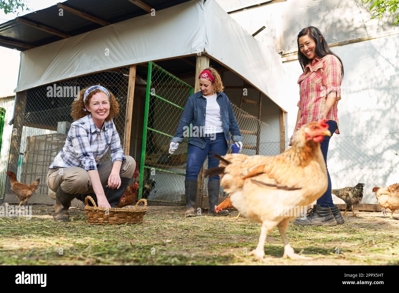 Portrait of smiling female farming colleagues working together at ...