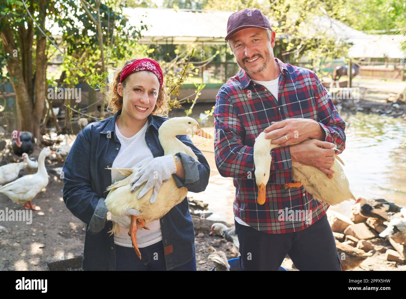 Happy male and female farmers carrying white geese while looking at ...