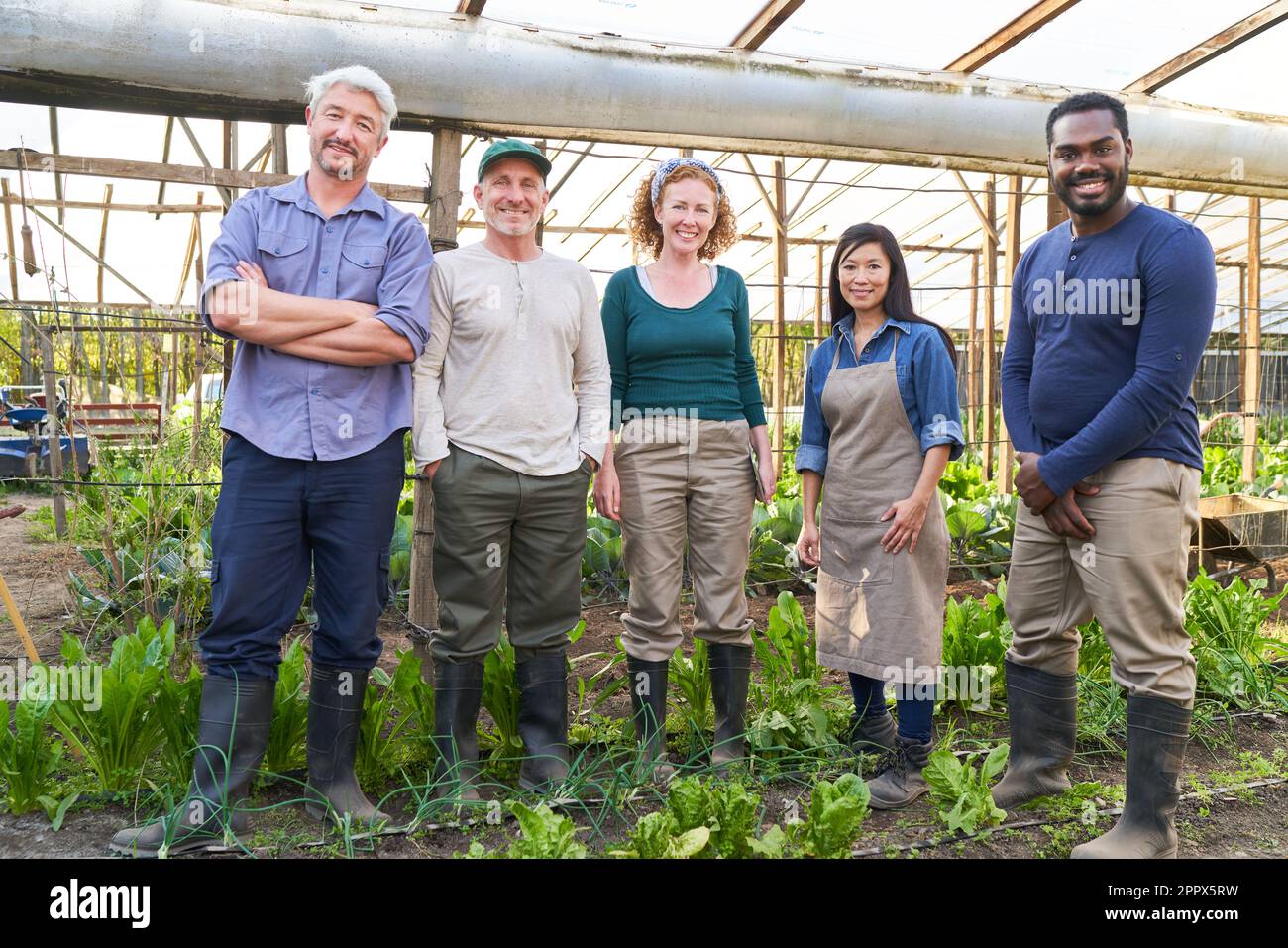 Portrait of smiling farmer's team standing together in greenhouse Stock ...
