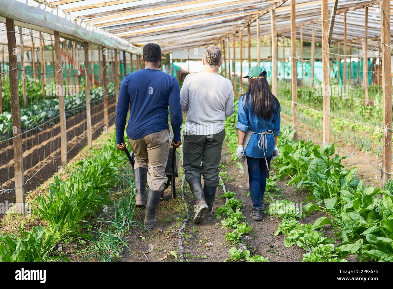 Together agriculture hi-res stock photography and images - Alamy