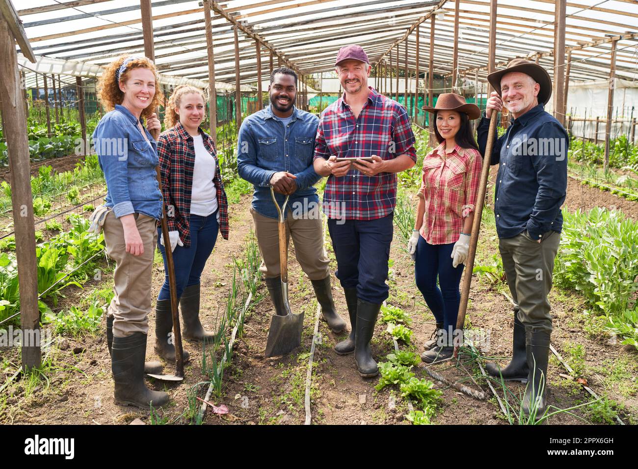 Portrait of smiling multicultural male and female farmers standing at ...