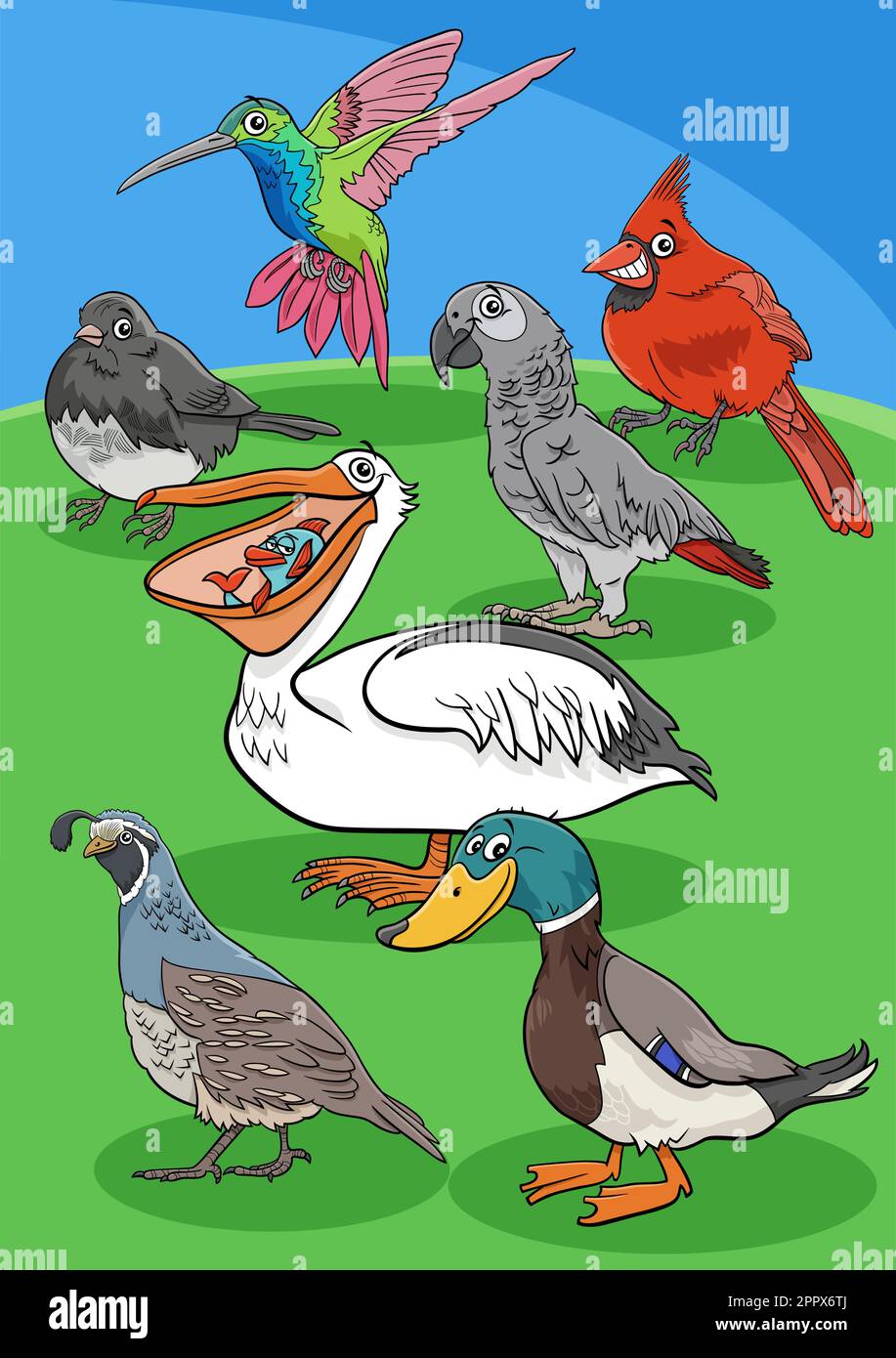 cartoon birds animal characters group Stock Vector Image & Art - Alamy