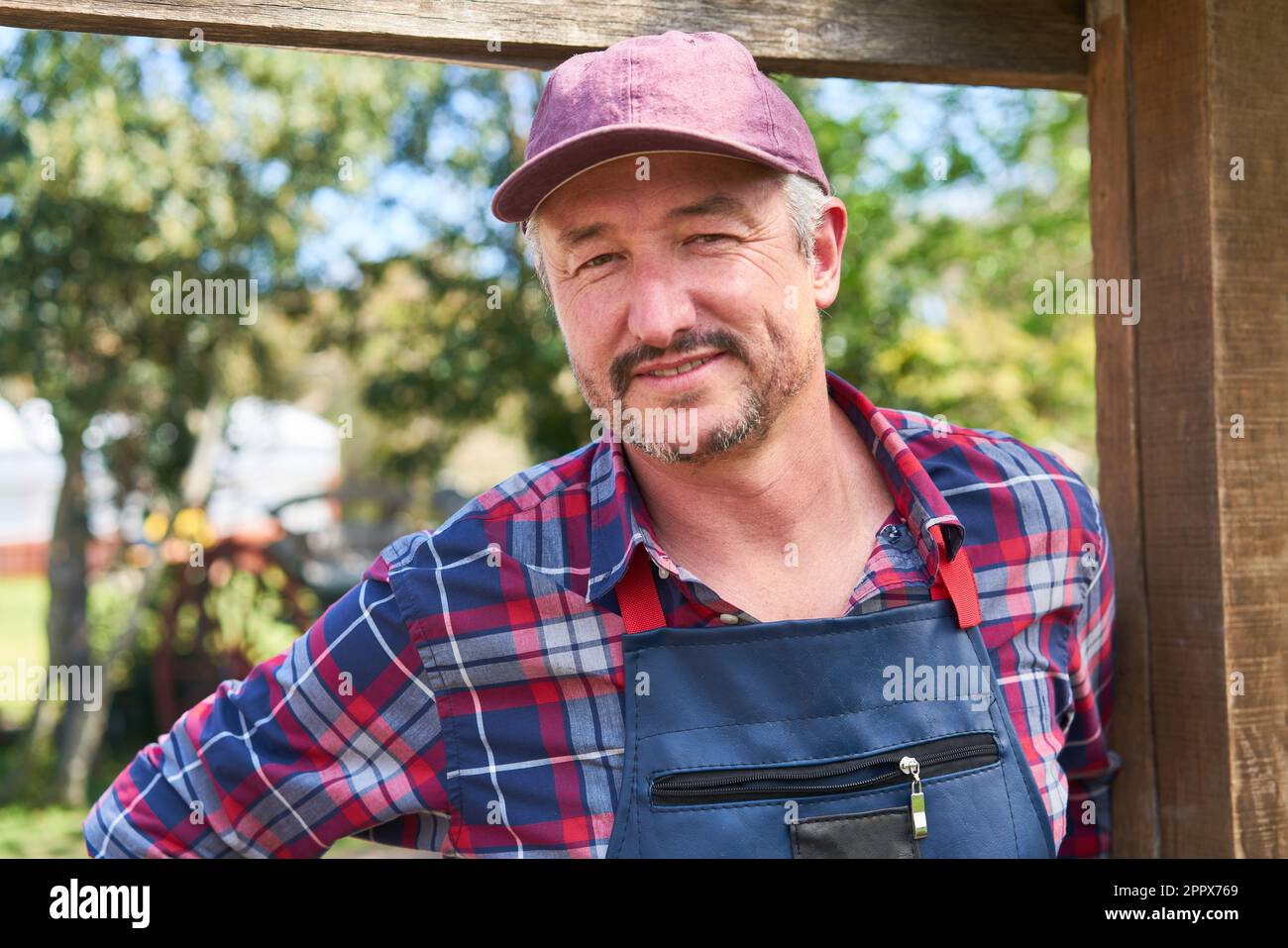 Portrait of smiling male farmer wearing cap and apron in farm Stock ...