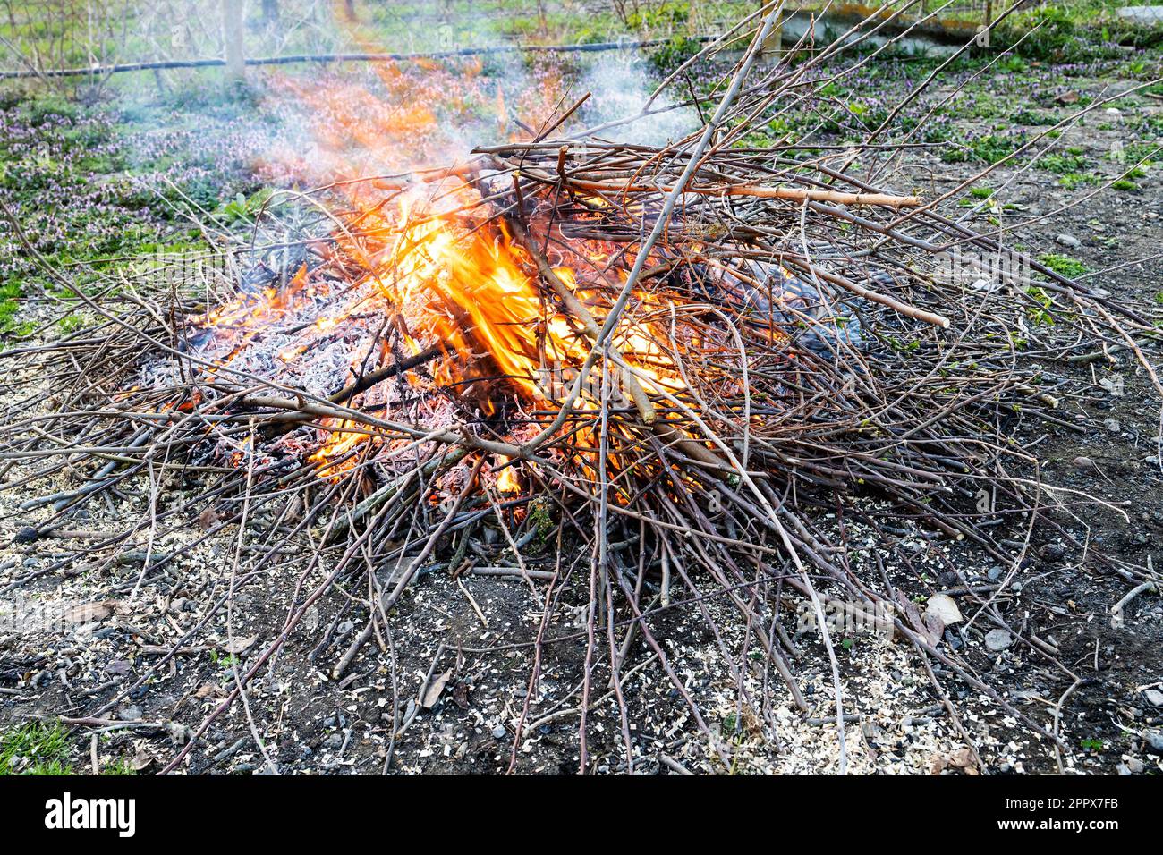 Pile tree branches burning hi-res stock photography and images - Alamy