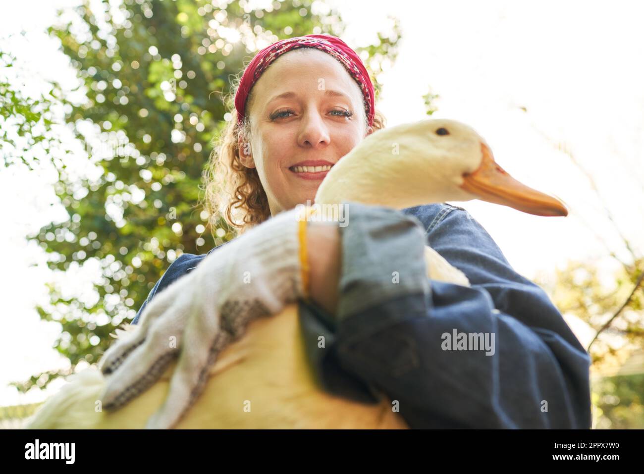 Low angle view portrait of smiling female rancher wearing bandana ...