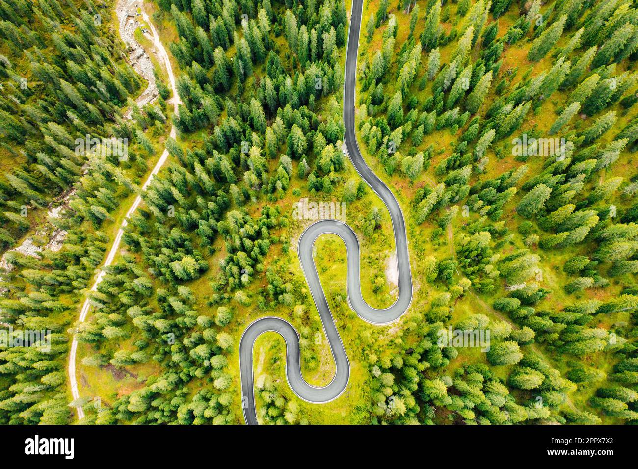 Famous Snake Road of autumn forestry Giau Pass Stock Photo - Alamy