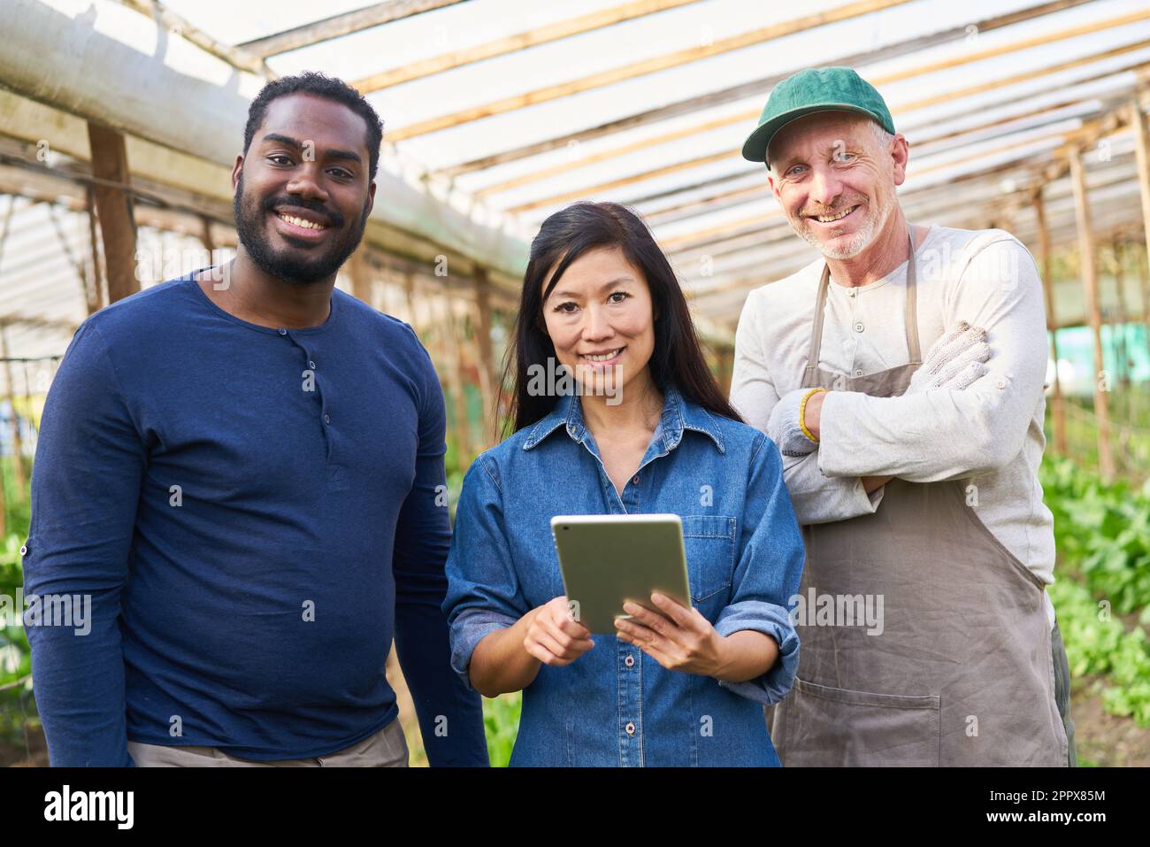 Portrait of smiling female farmer with tablet computer standing amidst ...