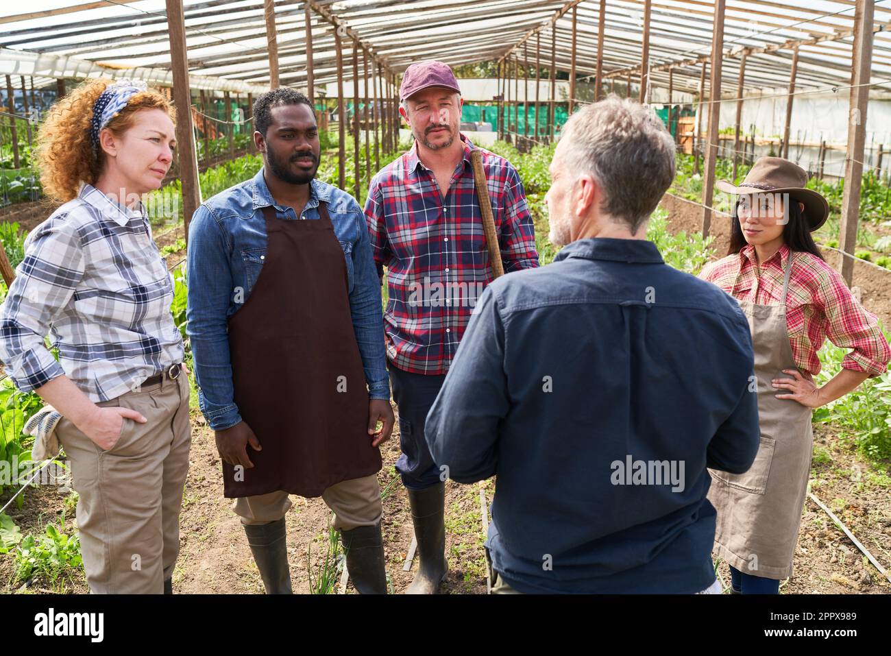 Mature colleague discussion hi-res stock photography and images - Alamy