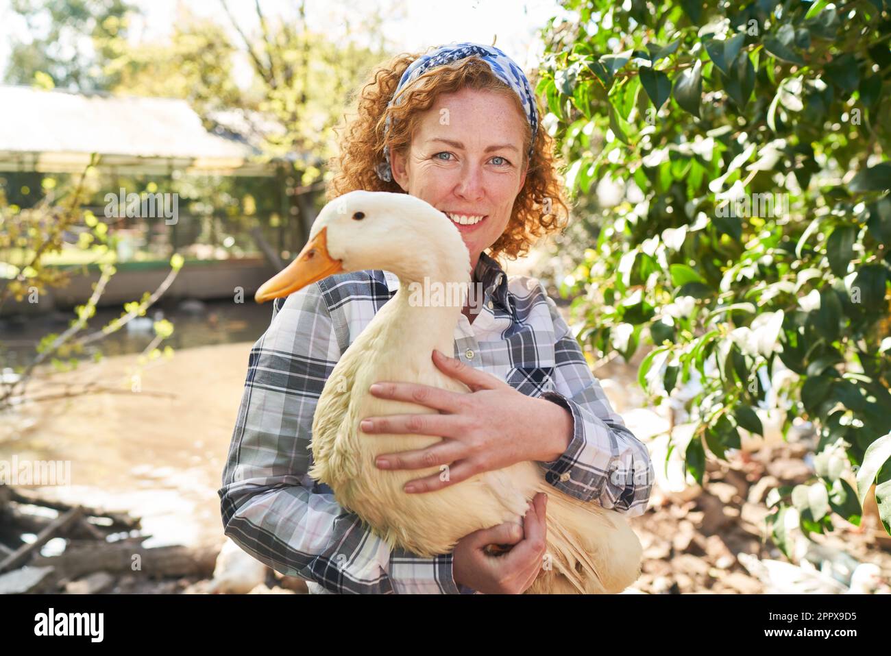 Portrait of smiling mature female farmer carrying white goose at farm ...
