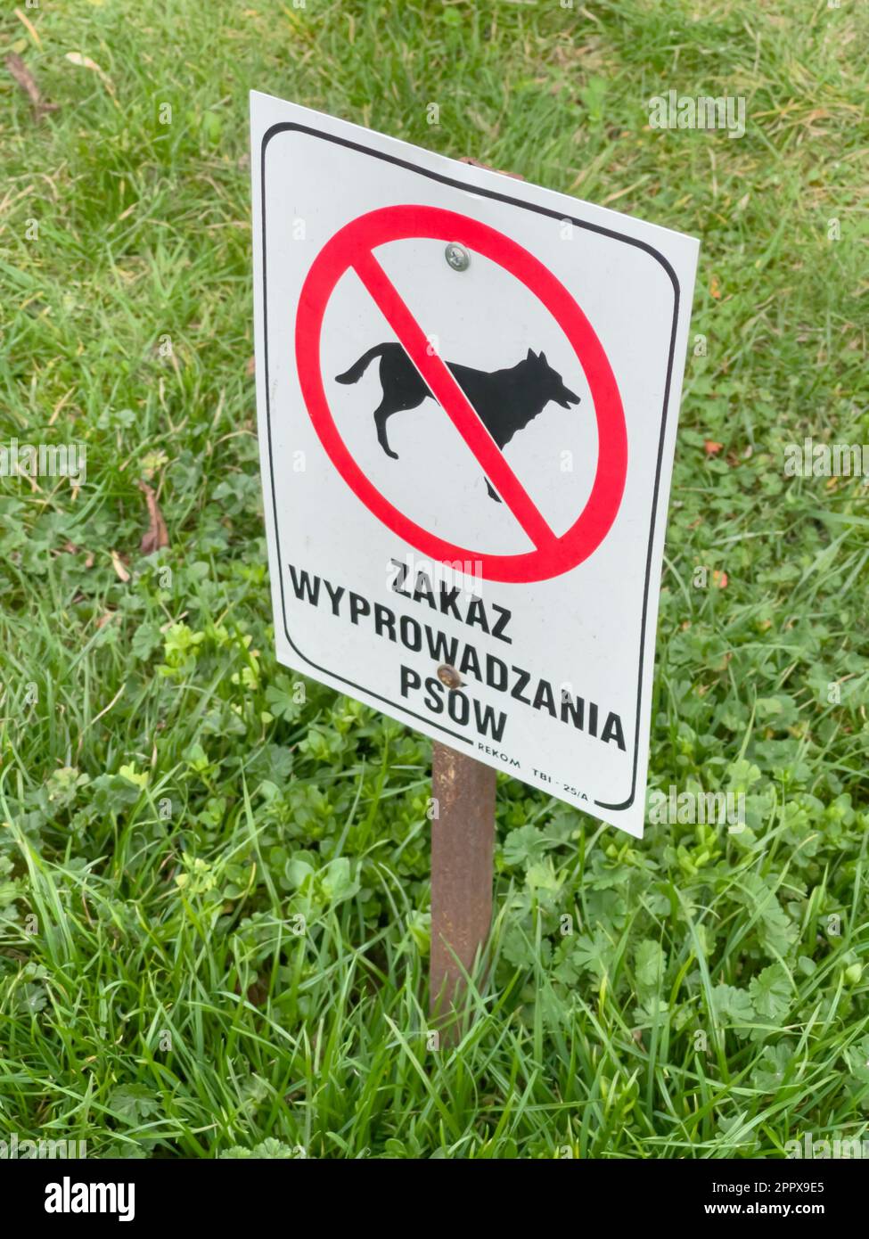 White metal Sign with inscription prohibiting dog walking and ban on ...