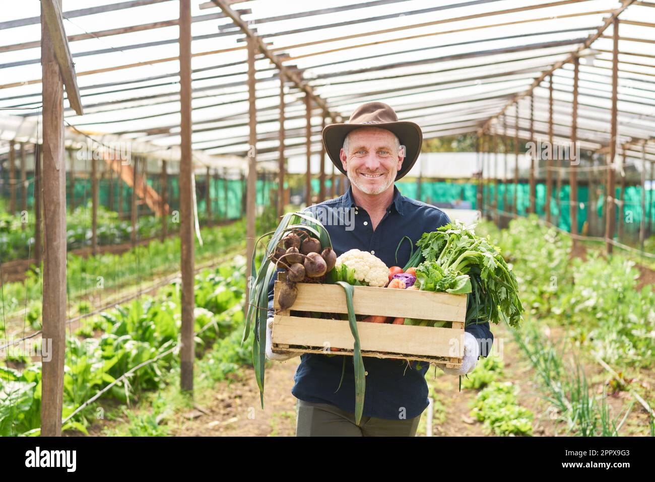 Occupation vegetable garden hi-res stock photography and images - Alamy