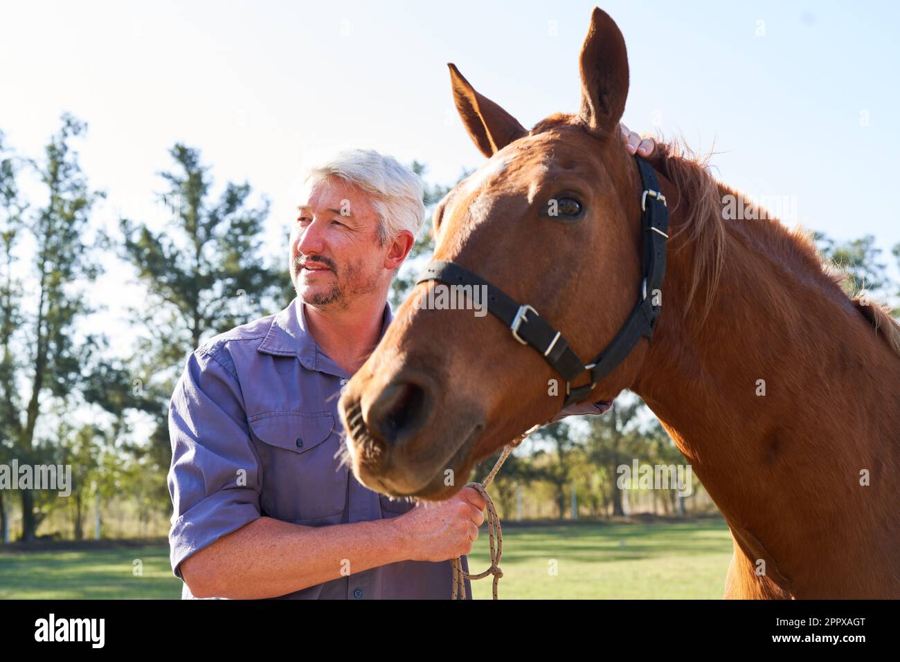Rancher and horse hi-res stock photography and images - Alamy