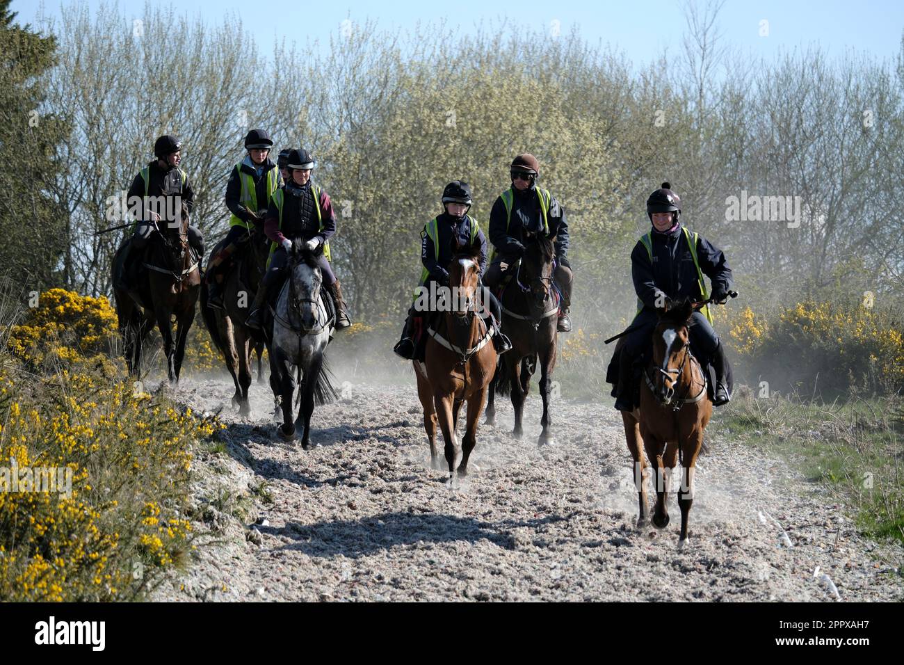 Selkirk, UK. 25th Apr, 2023. Racehorses from Stuart ColtherdÕs yard ...