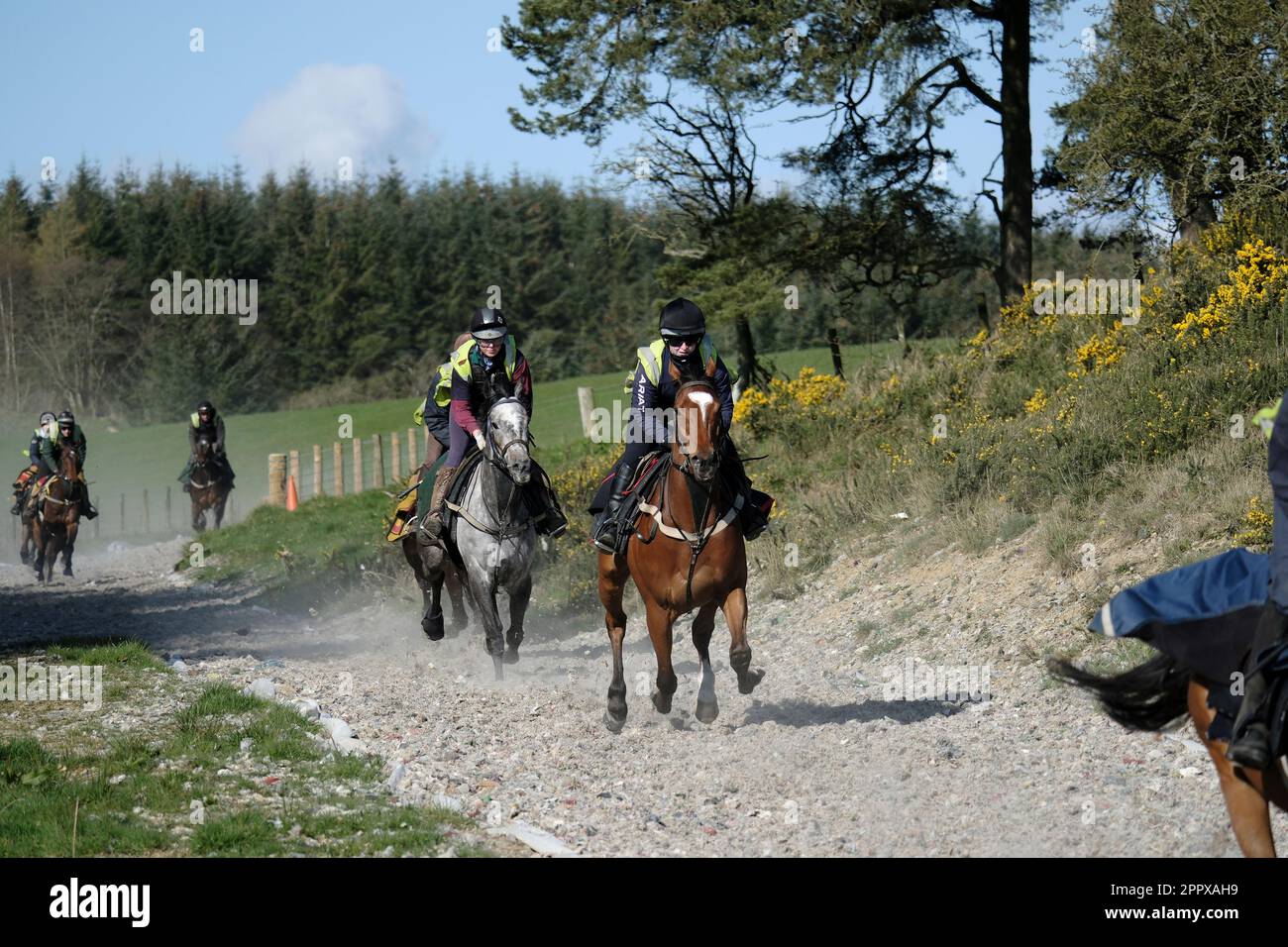 Coltherd racing hi-res stock photography and images - Alamy