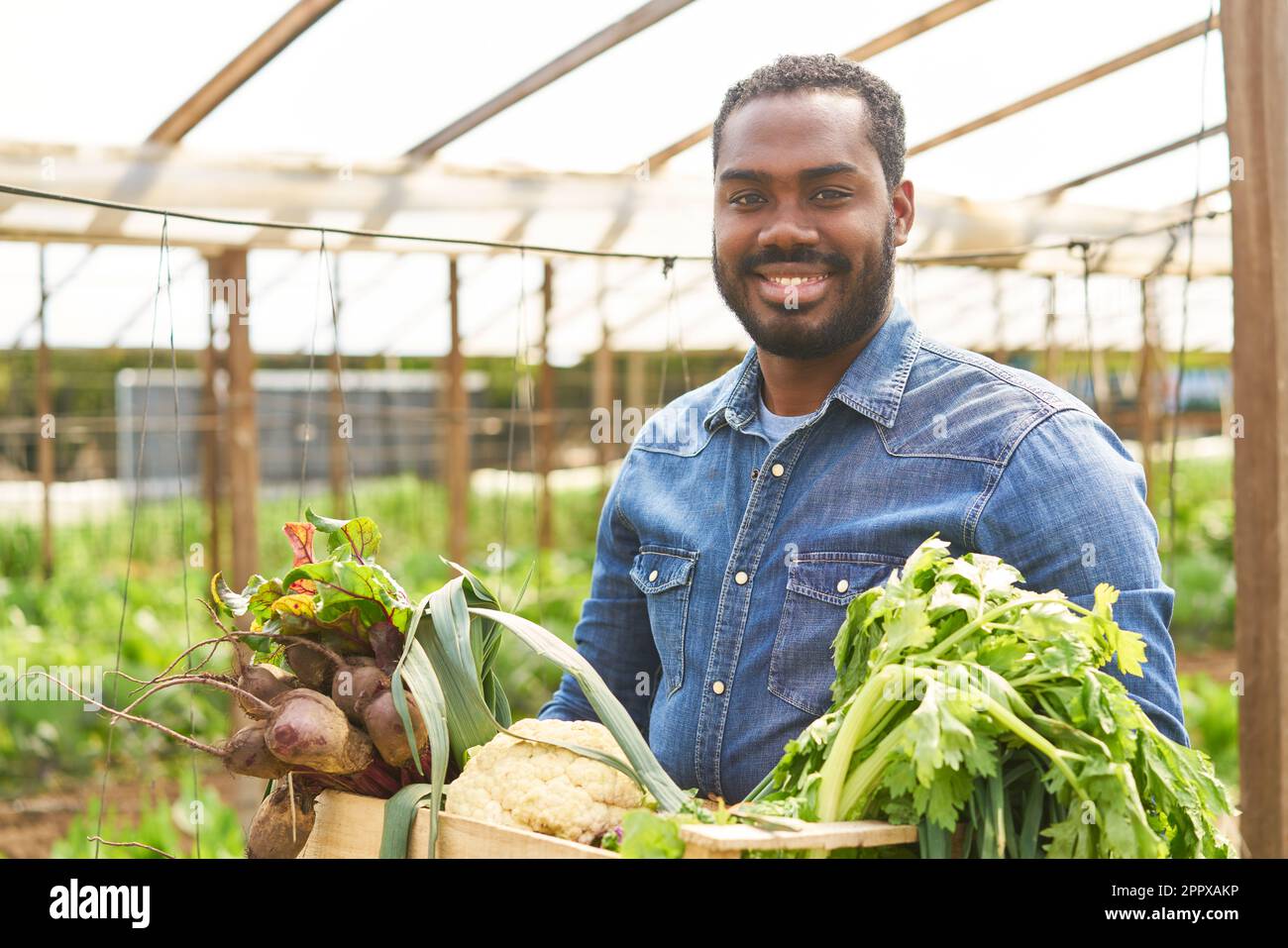 Portrait of smiling farmer holding wooden crate of organic vegetables ...
