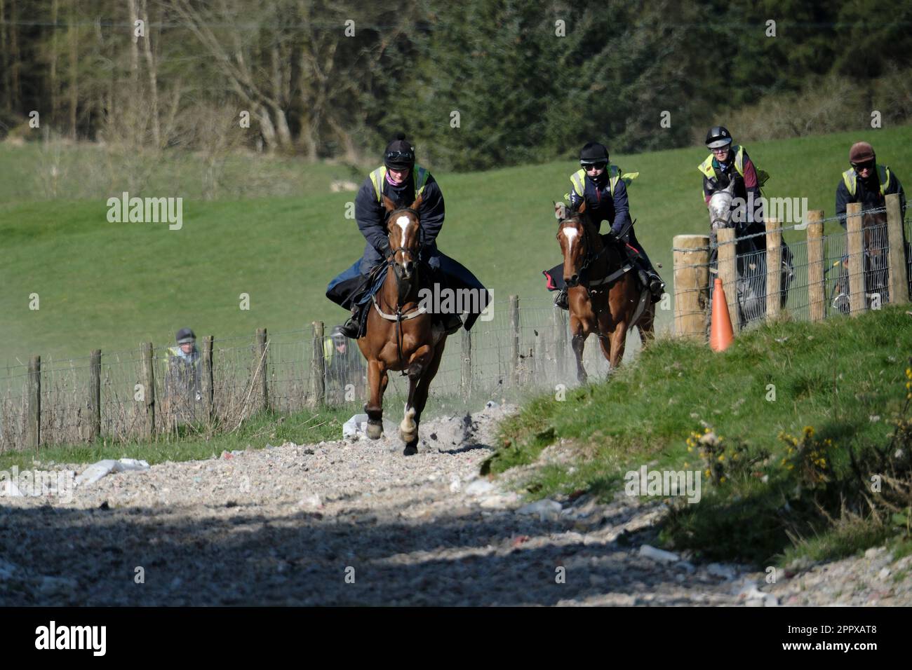 Selkirk, UK. 25th Apr, 2023. Racehorses from Stuart ColtherdÕs yard ...
